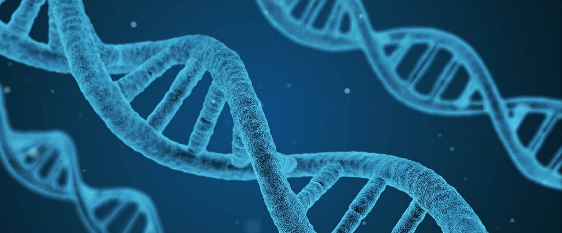 RESEARCH | ACTIVE MATTER LAB