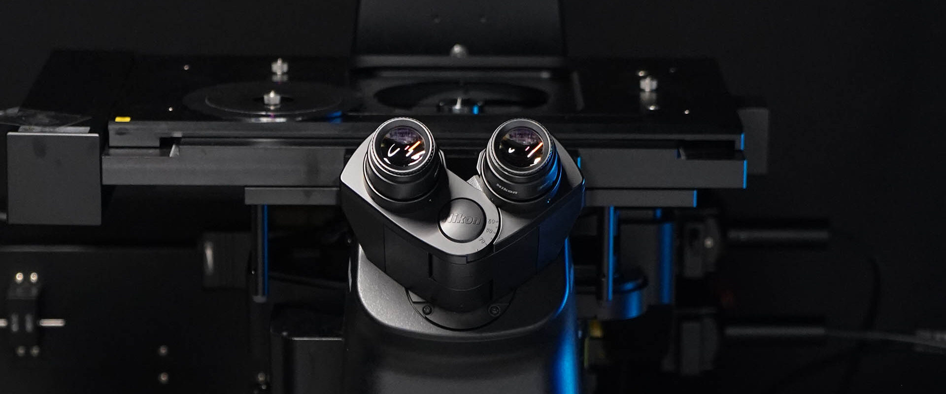 CONTACT | ACTIVE MATTER LAB